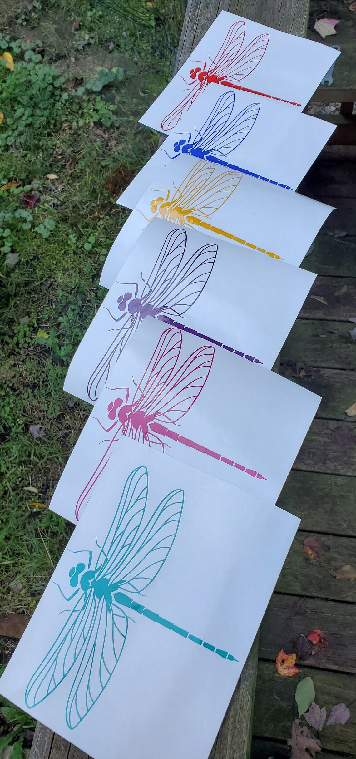 Dragonfly Vinyl Decal, Vinyl Sticker, Car Decal, Bumper Sticker ...