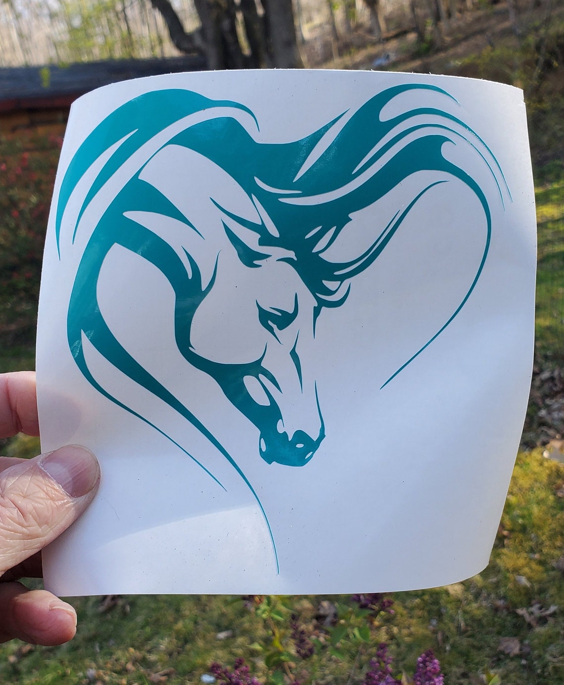 Horse Decal, Vinyl Decal, Vinyl Sticker, Horse Sticker, Window Decal ...