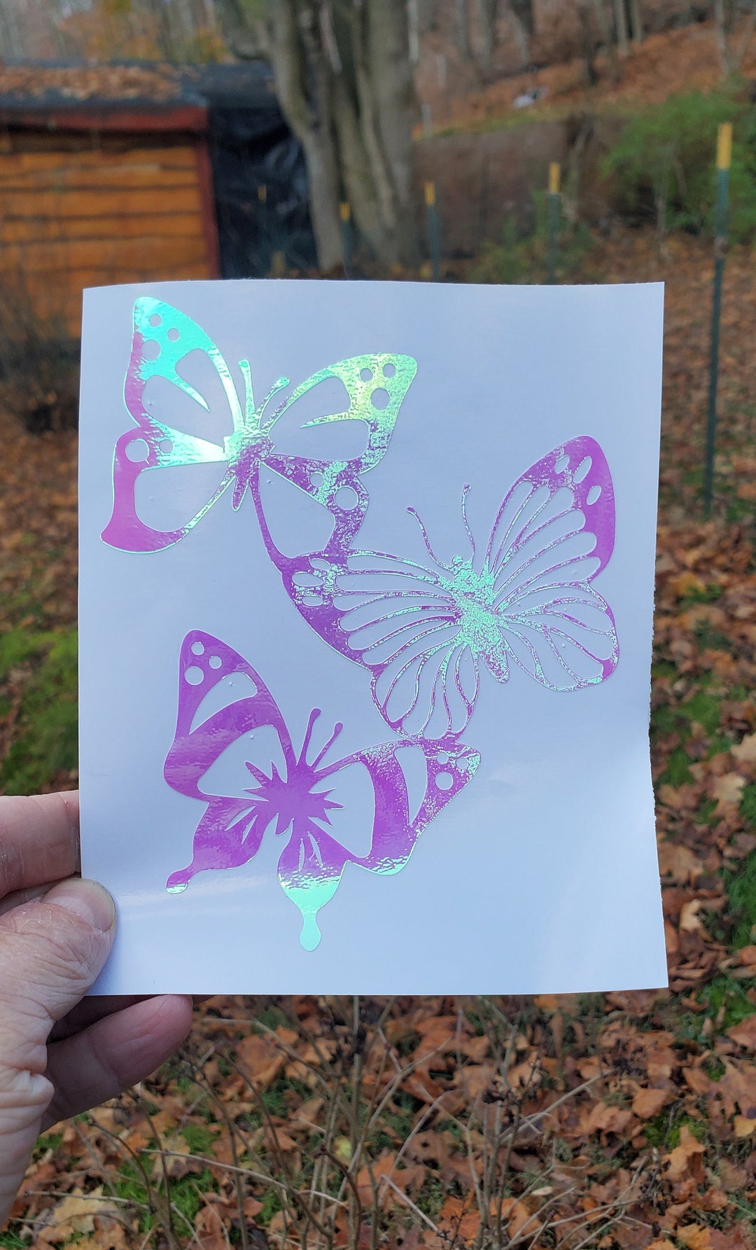 Butterflies Vinyl Decal, Butterfly Sticker, Butterfly Decal, Window ...
