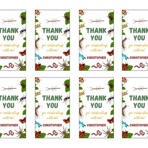 Editable Bug Thank You Tag-birthday Favor Tags-insect Theme Tag-instant ...