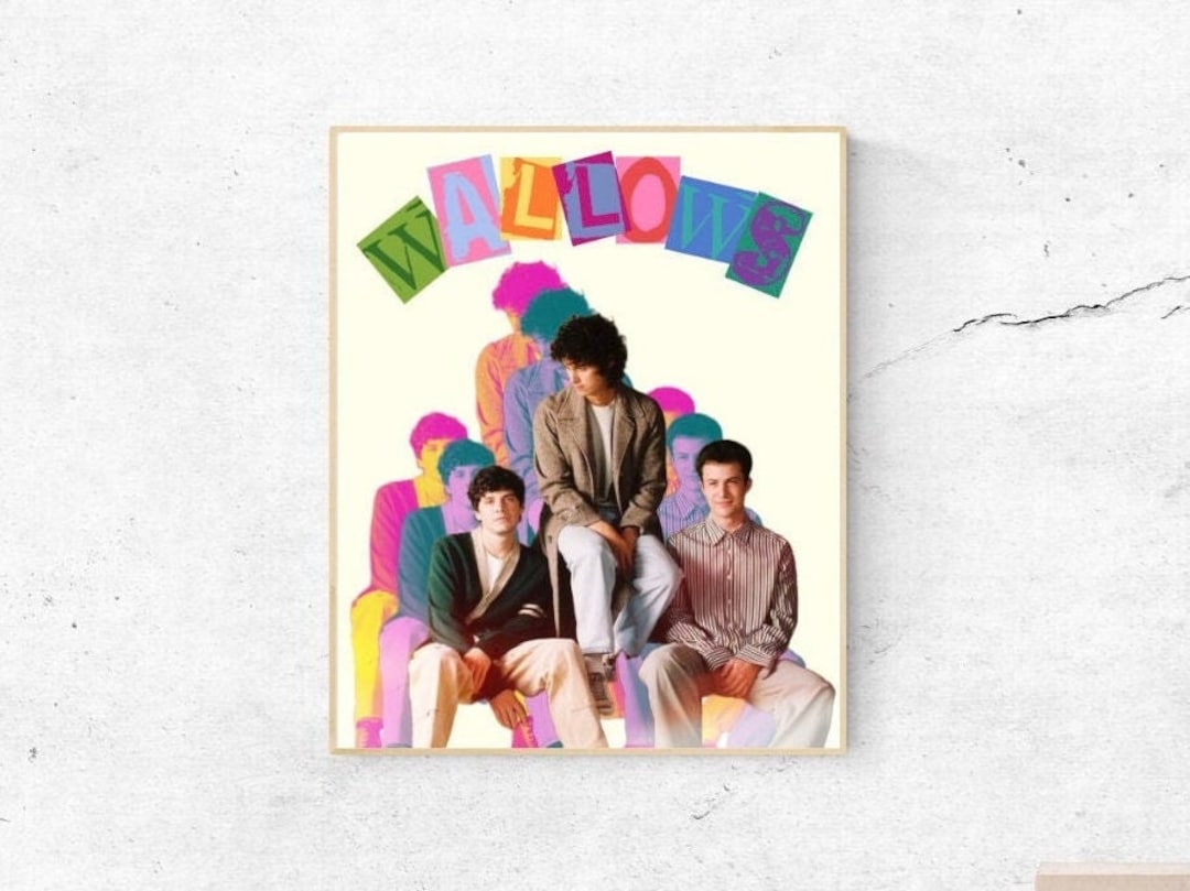 Wallows Poster - Etsy