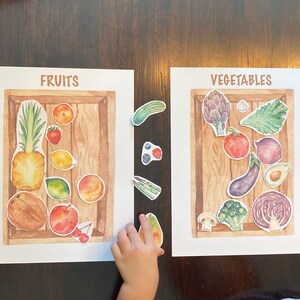Fruit and Vegetable Sorting Activity for Homeschool, Pre-k, or ...