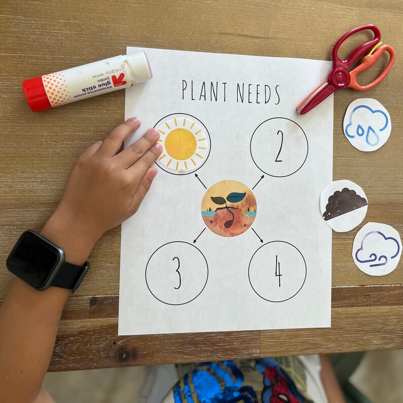 Plant Life Cycle and Needs Activity for Homeschool, Pre-k, or ...