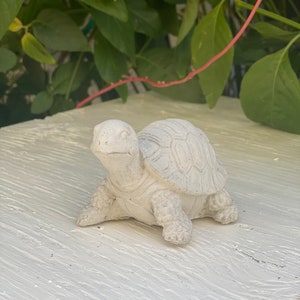 Tortoise Statue - Etsy