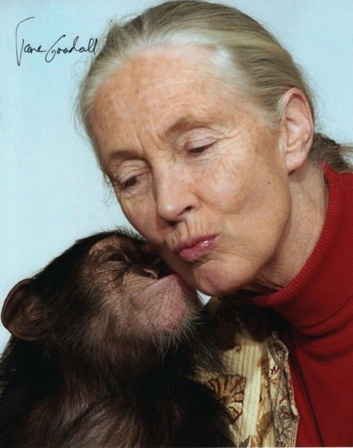 Jane Goodall Signed Autographed 8x10 Photo - Etsy