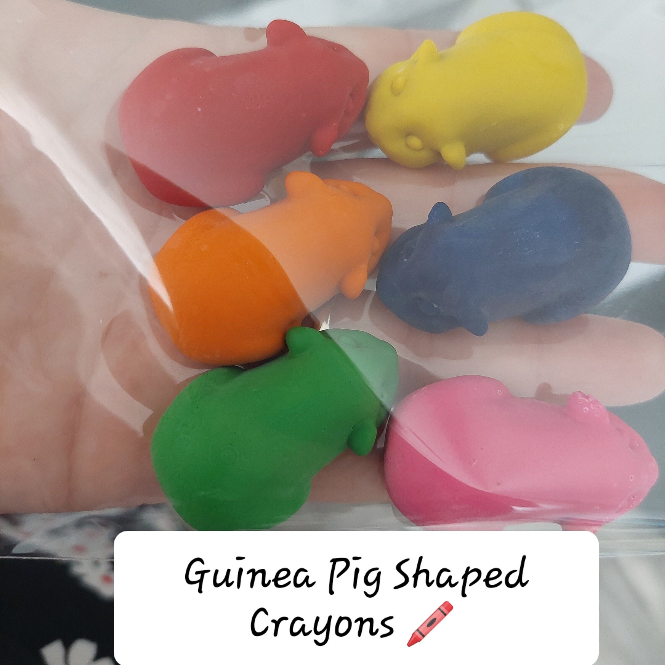 Guinea Pig Crayons Guinea Pig Gifts Drawing Tools Party Bag - Etsy UK