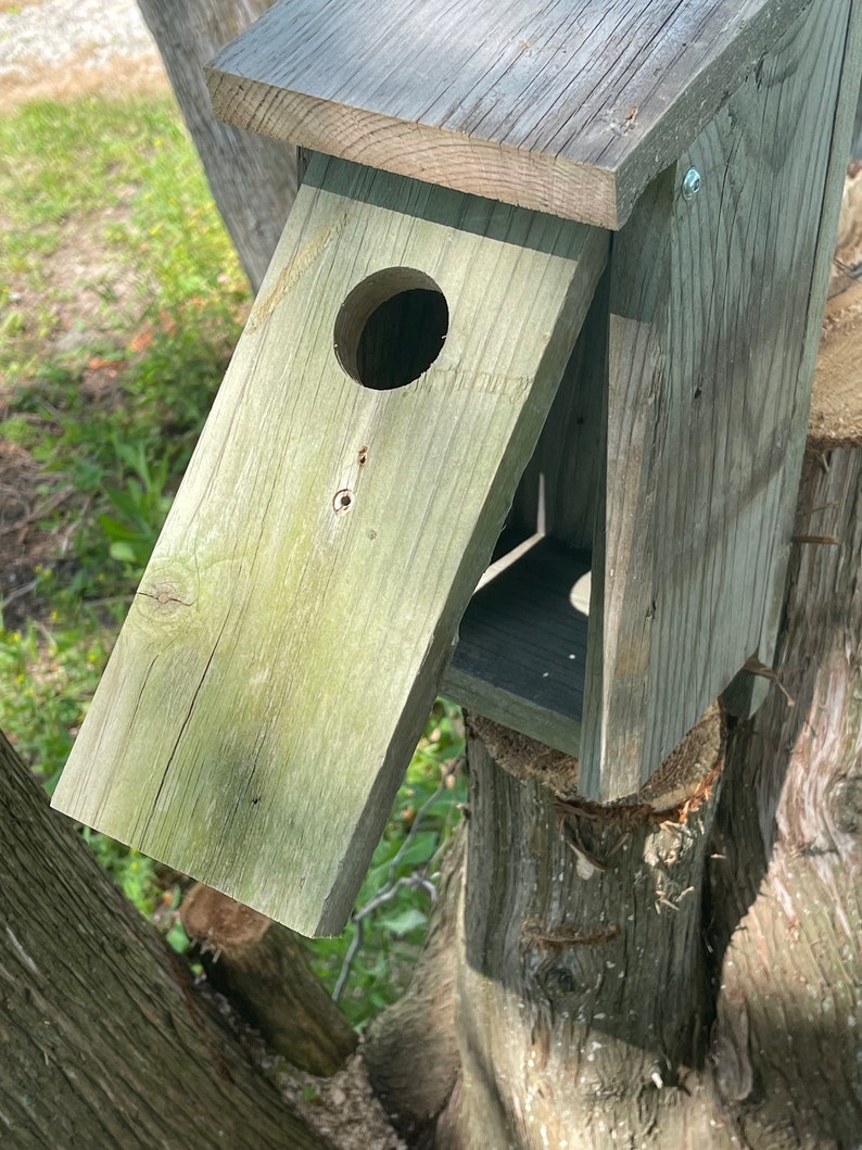 Bluebird Nesting Box - Etsy