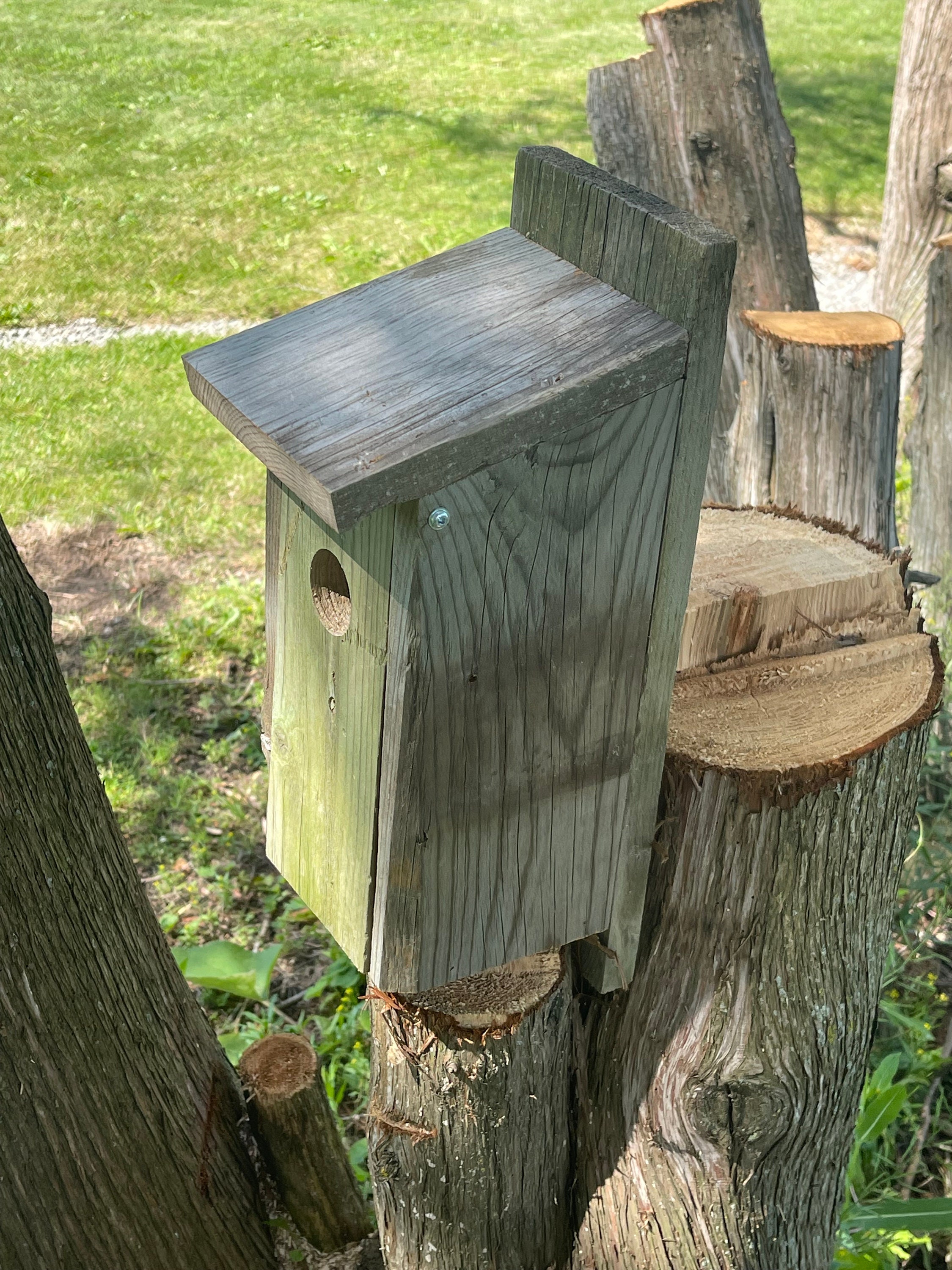 Bluebird Nesting Box - Etsy