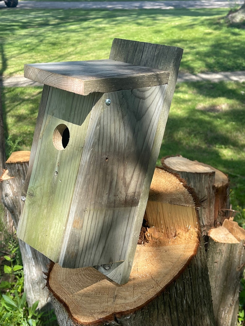Bluebird Nesting Box - Etsy