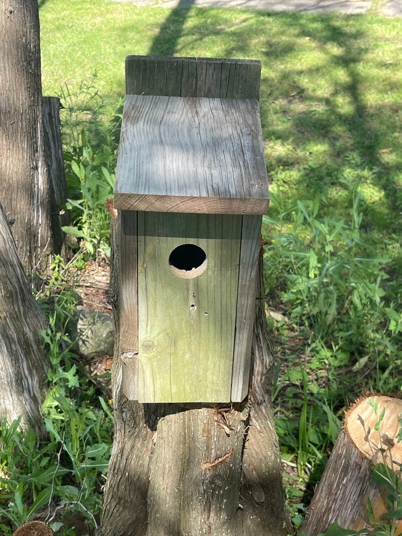Bluebird Nesting Box - Etsy