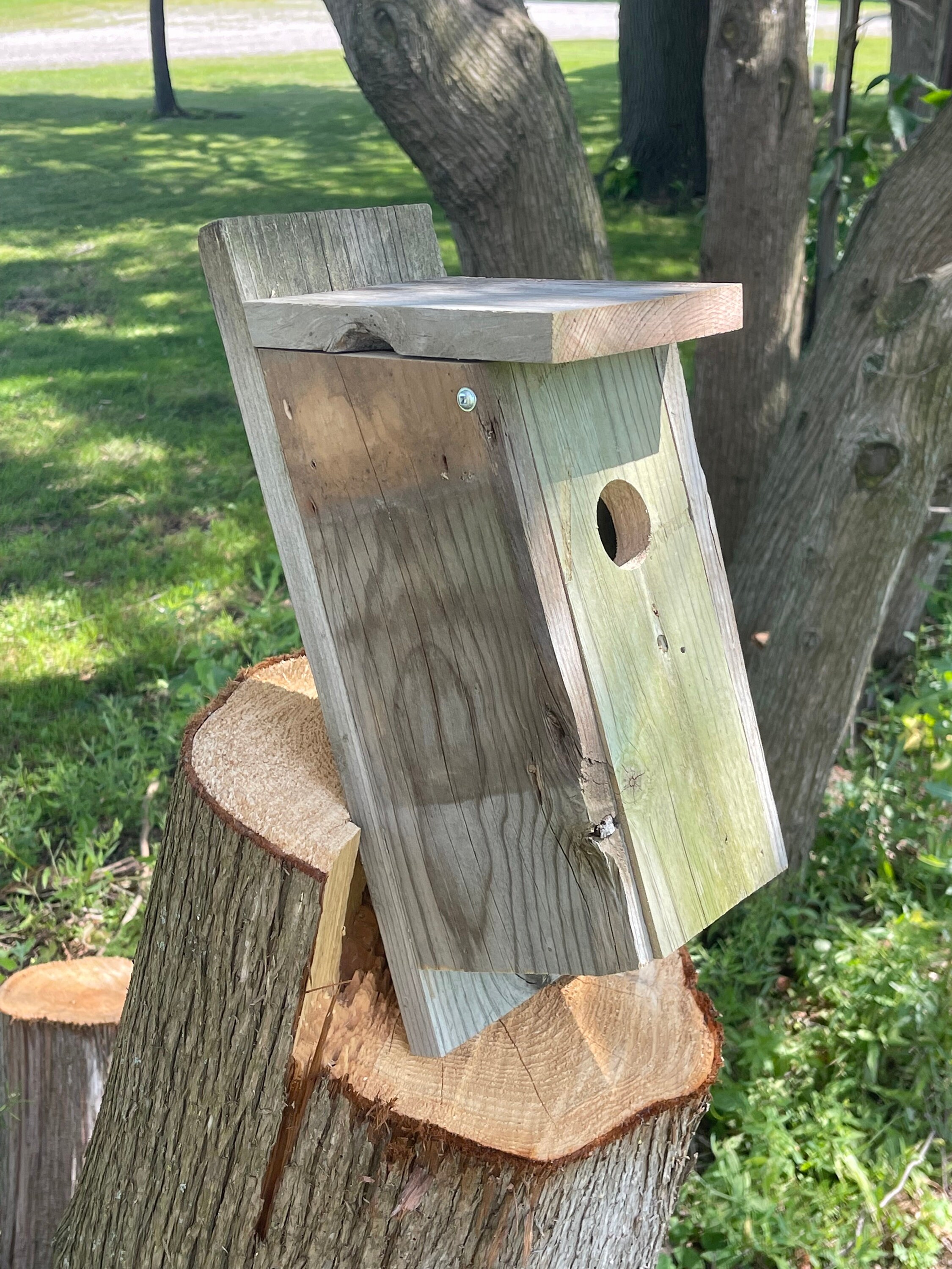 Bluebird Nesting Box - Etsy