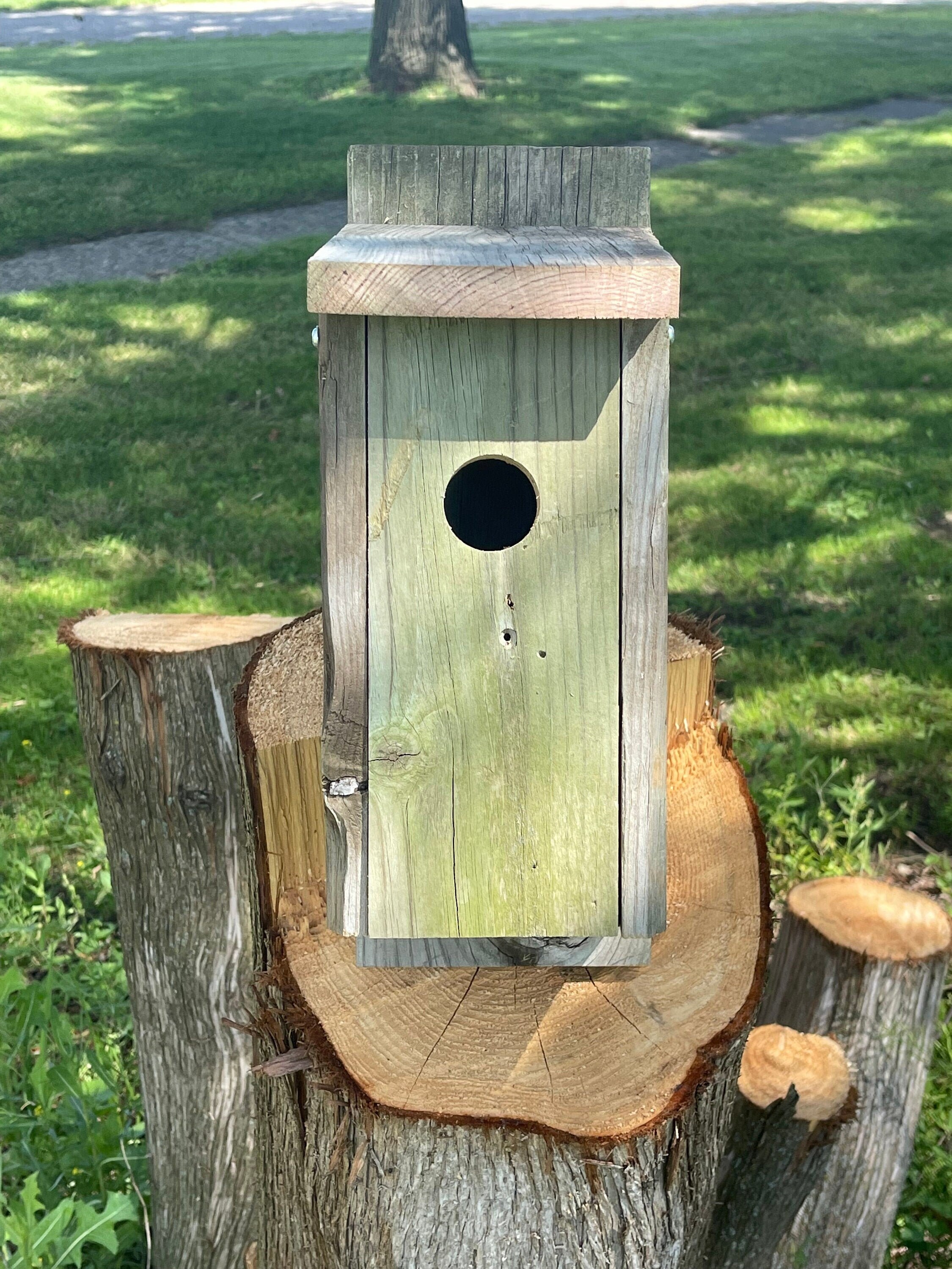 Bluebird Nesting Box - Etsy