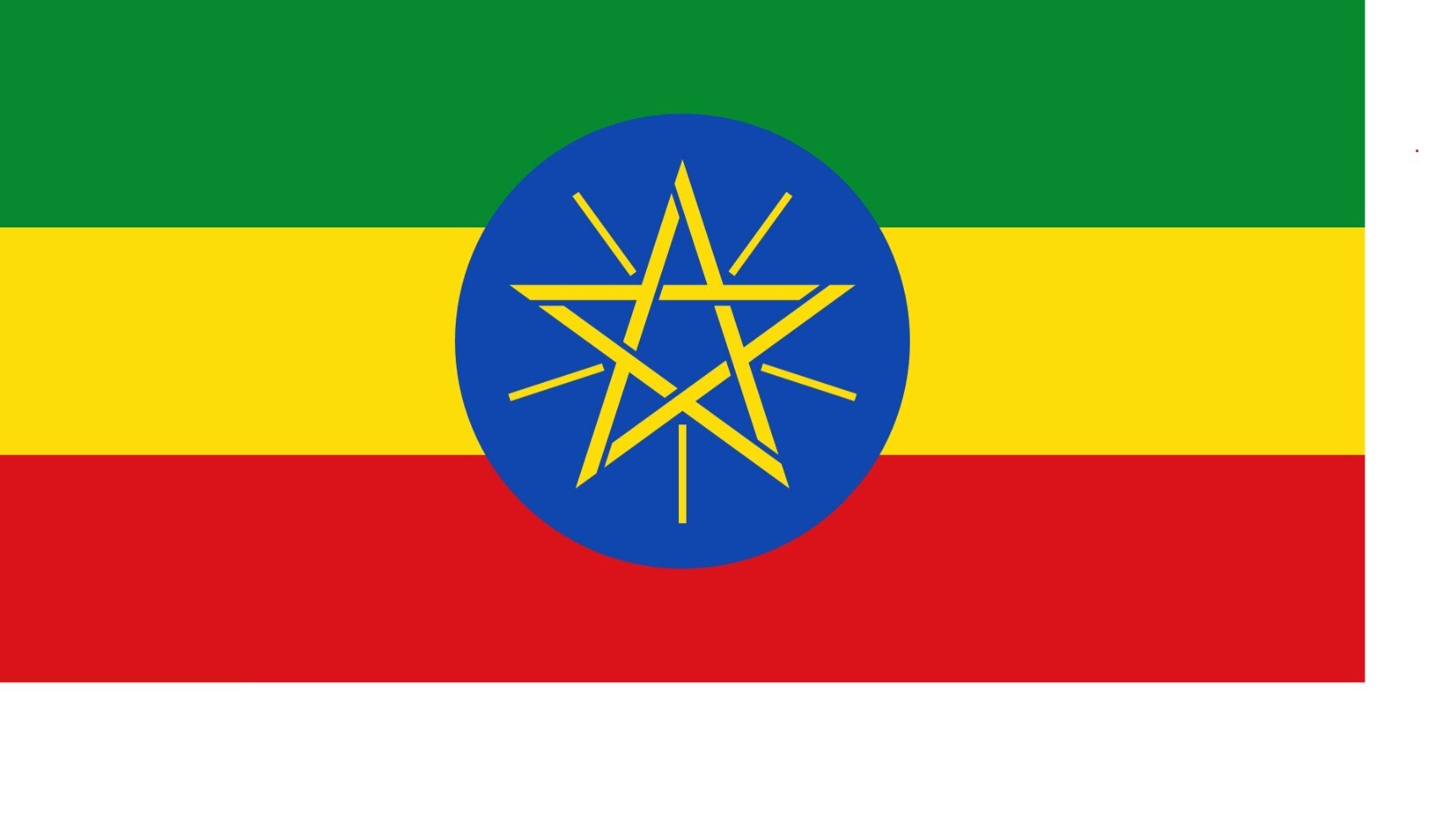 Ethiopian Roasted Coffee USDA & NOFA-NY Certified Organic - Etsy