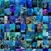 100 PCS | Aquarium Marine Life Photo Collage Kit | Ocean Summer Beach ...