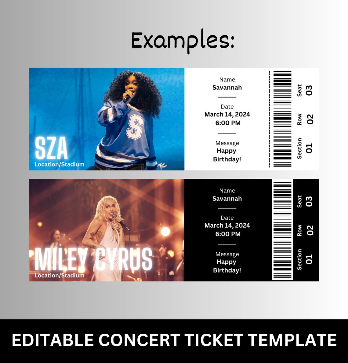 Editable Concert Ticket Template | Event Ticket Stub | Personalized ...