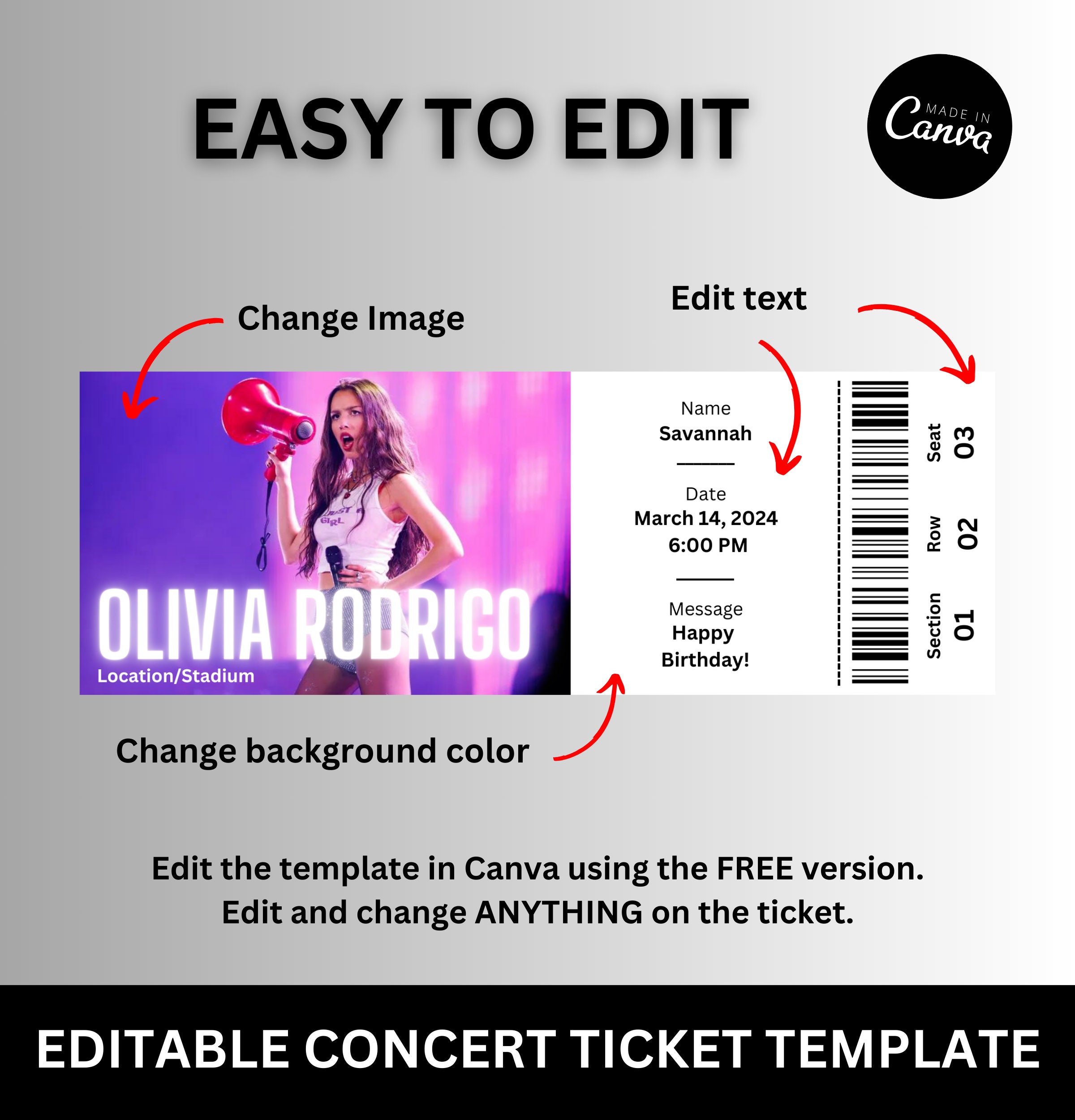 Editable Concert Ticket Template | Event Ticket Stub | Personalized ...