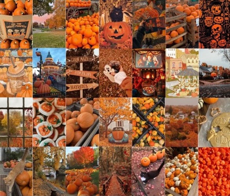 80PCS Halloween Fall Collage Kit | Pumpkin Photo Collage | Fall Breeze ...