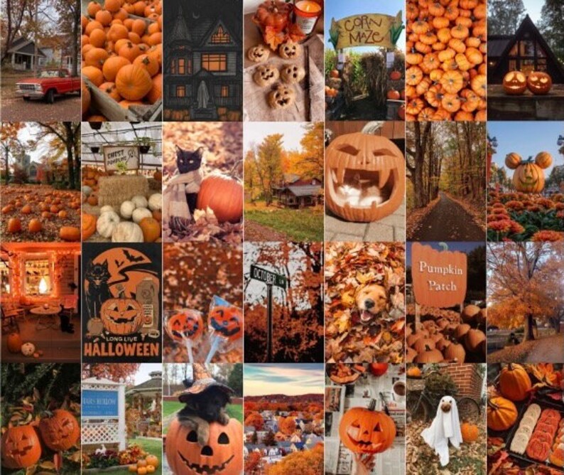 80PCS Halloween Fall Collage Kit | Pumpkin Photo Collage | Fall Breeze ...
