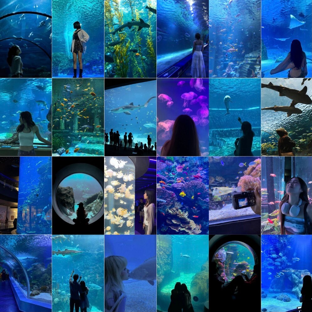 100 PCS | Aquarium Marine Life Photo Collage Kit | Ocean Summer Beach ...