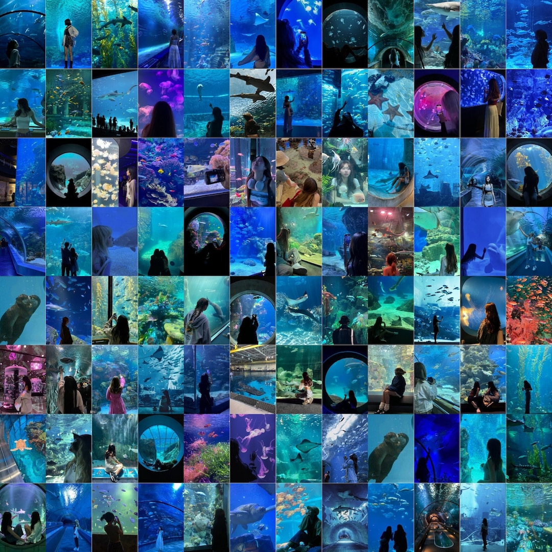 100 PCS | Aquarium Marine Life Photo Collage Kit | Ocean Summer Beach ...