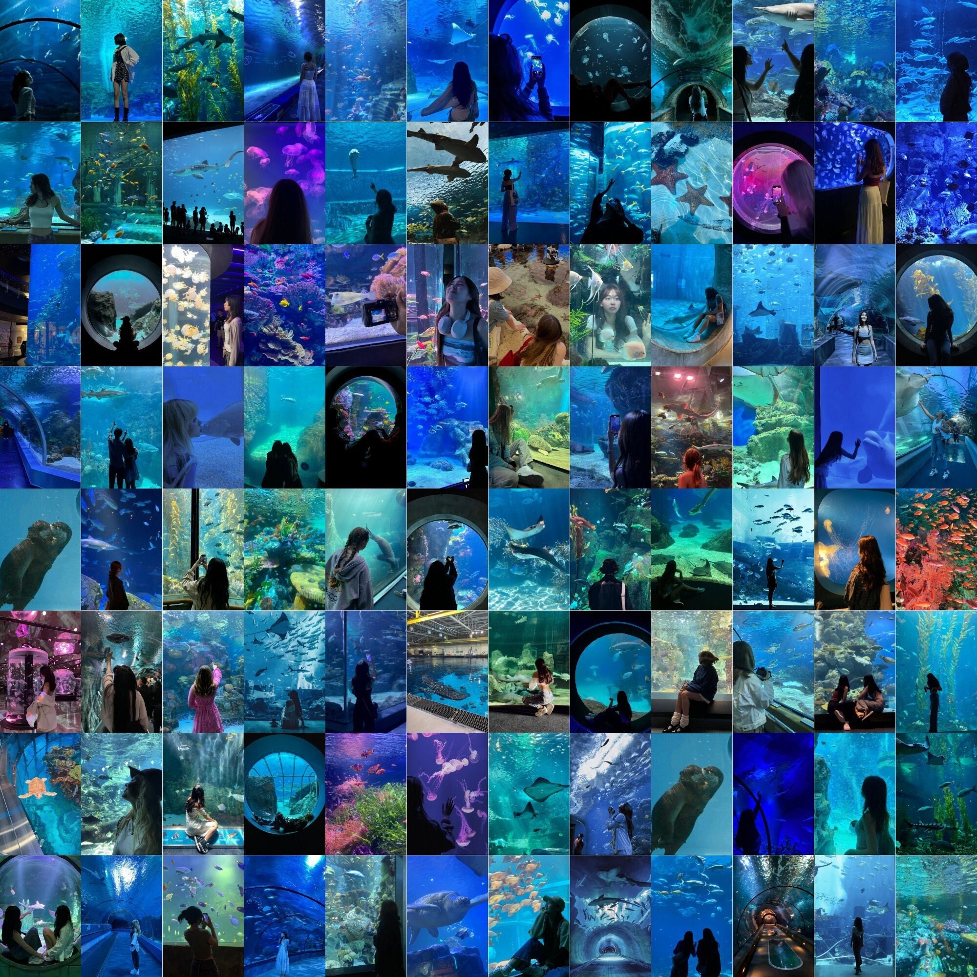 100 PCS | Aquarium Marine Life Photo Collage Kit | Ocean Summer Beach ...