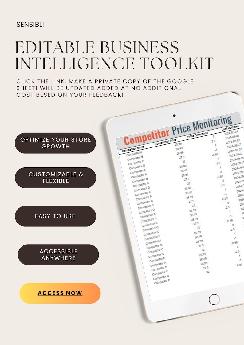 Business Intelligence Toolkit Google Sheets Template Business Planner ...