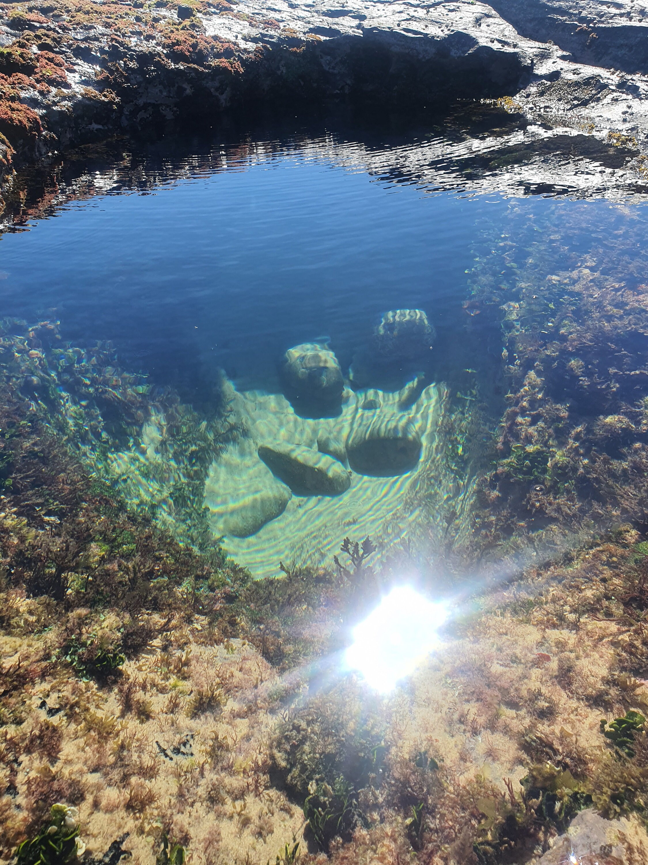 Rock Pools - Etsy