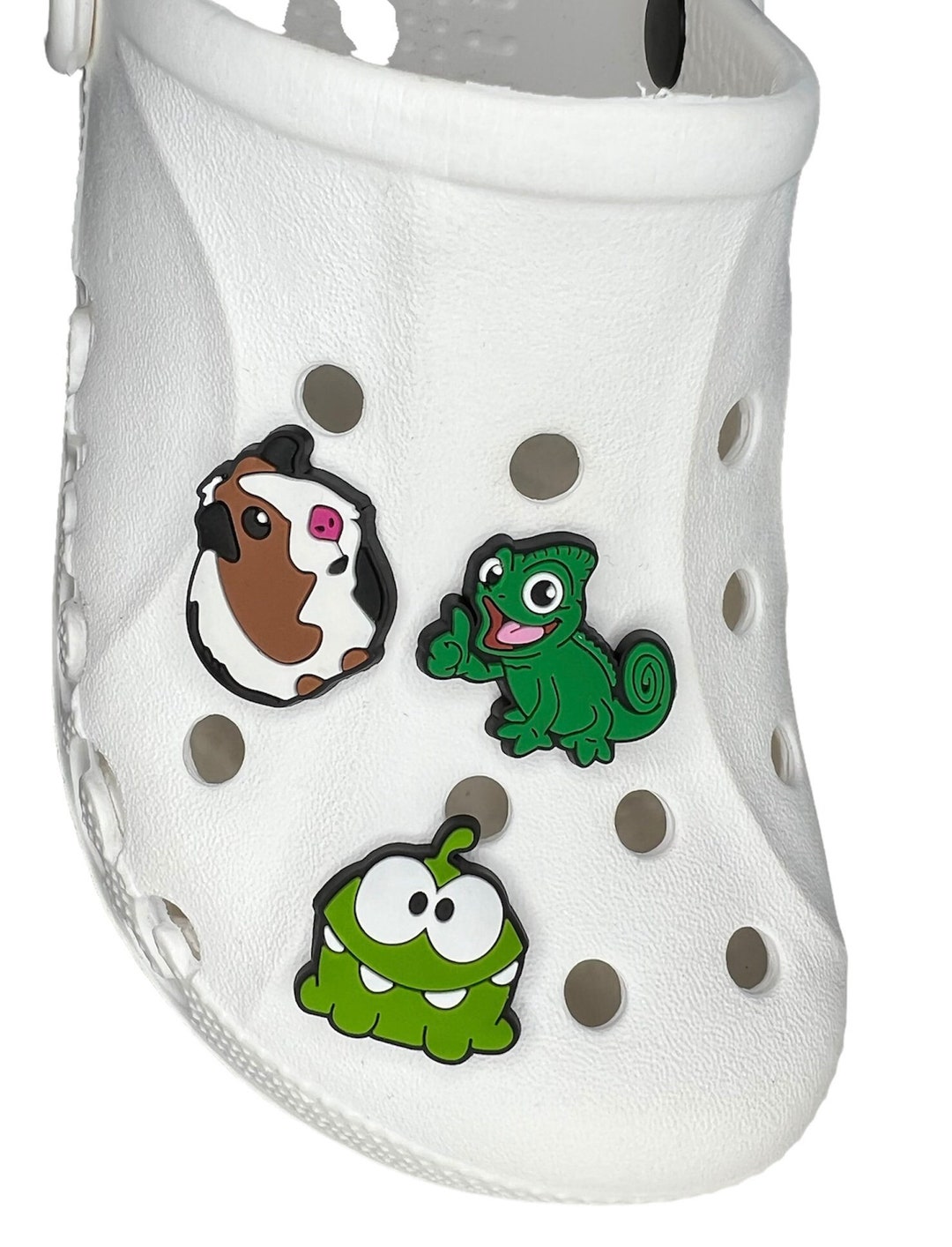 Pets Clog Charms Clog for Shoes Flog, Chameleon, Hamster - Etsy