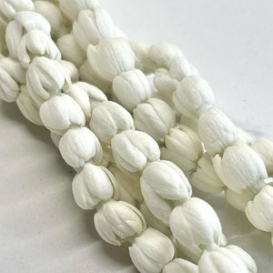 Pikake Plant. Single Flower Variety for Lei Making (pikake Lahilahi ...