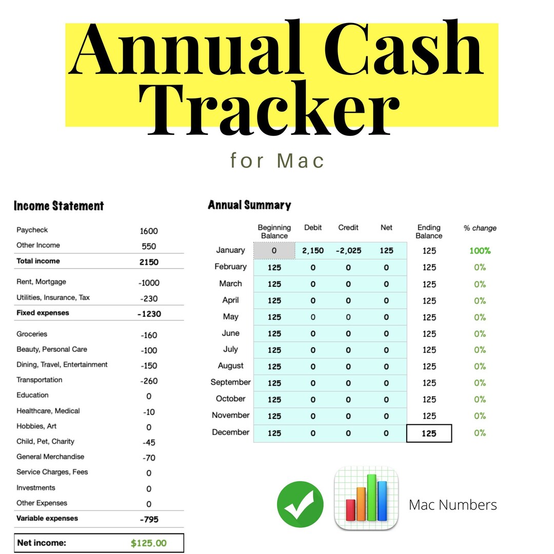 Annual Cash Flow Tracker Template for Mac - Etsy