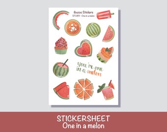 Melon Planner Stickers - Etsy