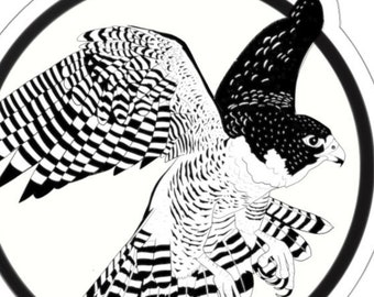 Peregrine Falcon Sticker - Etsy