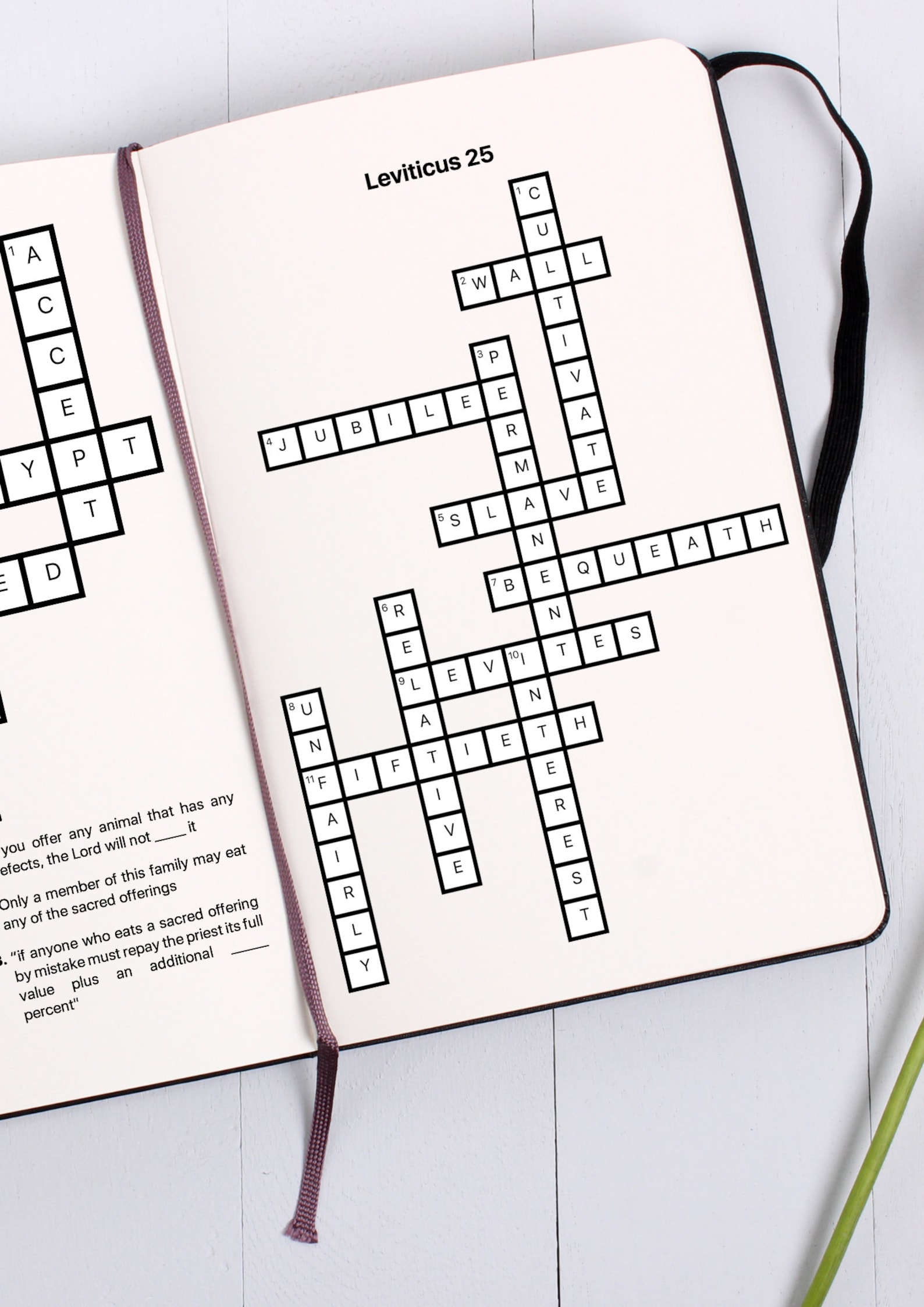 Leviticus Crossword Bible Digital Printable All Chapters - Etsy