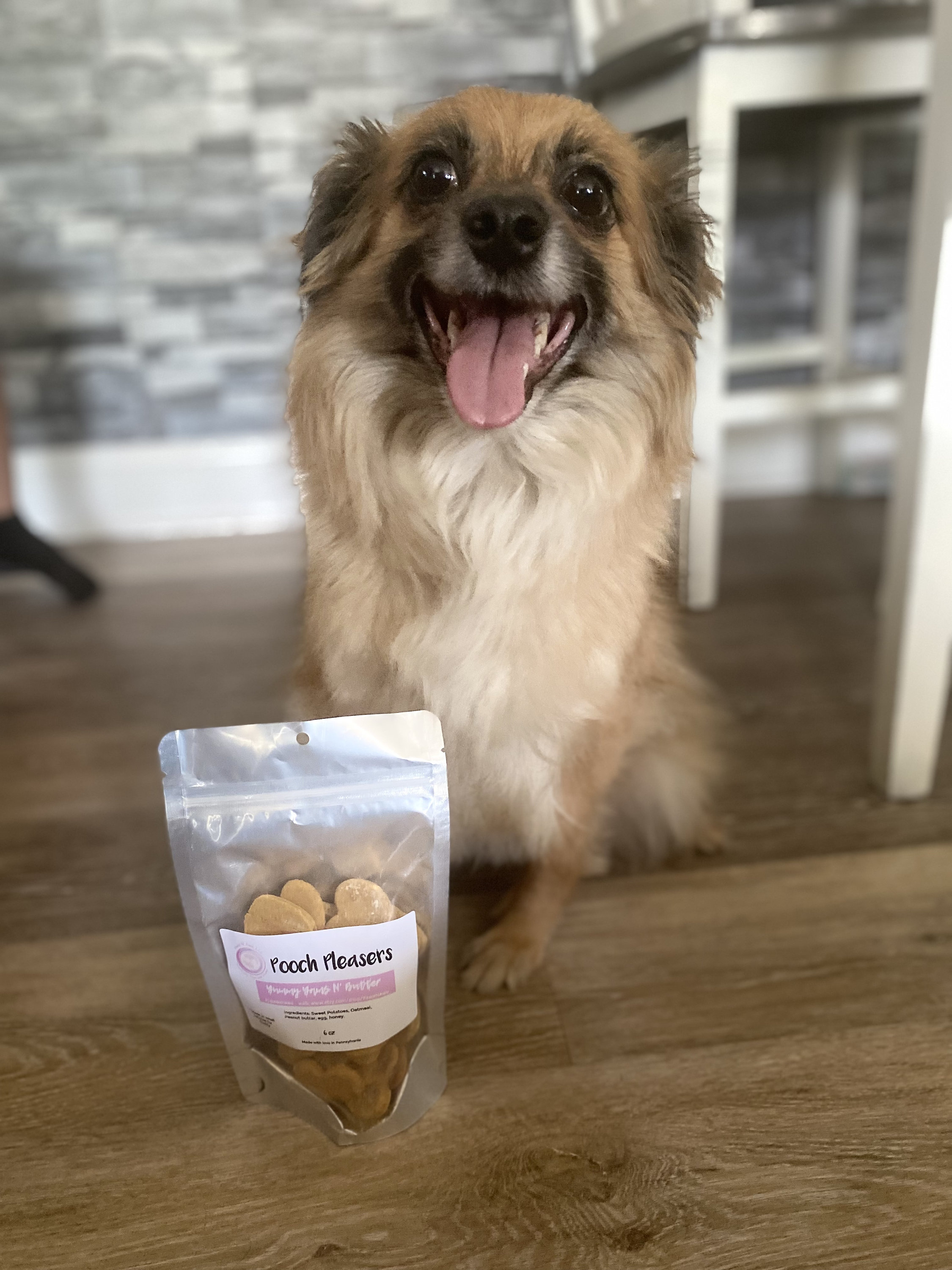 Natural Dog Training Treats- Yummy Yamz N Butter - Etsy Canada