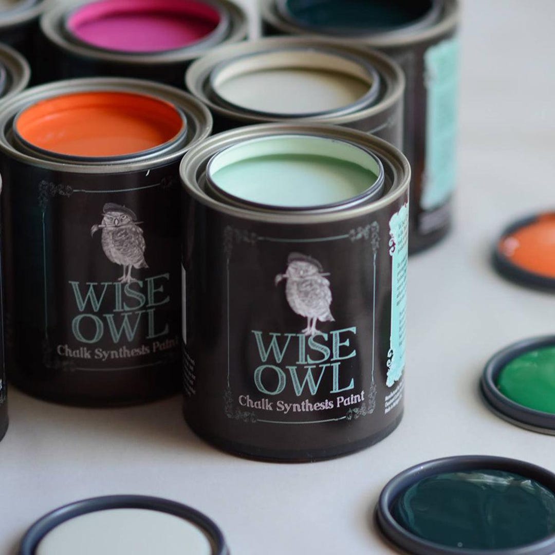 FAST SHIPPING - Wise Owl Chalk Synthesis Paint - Etsy