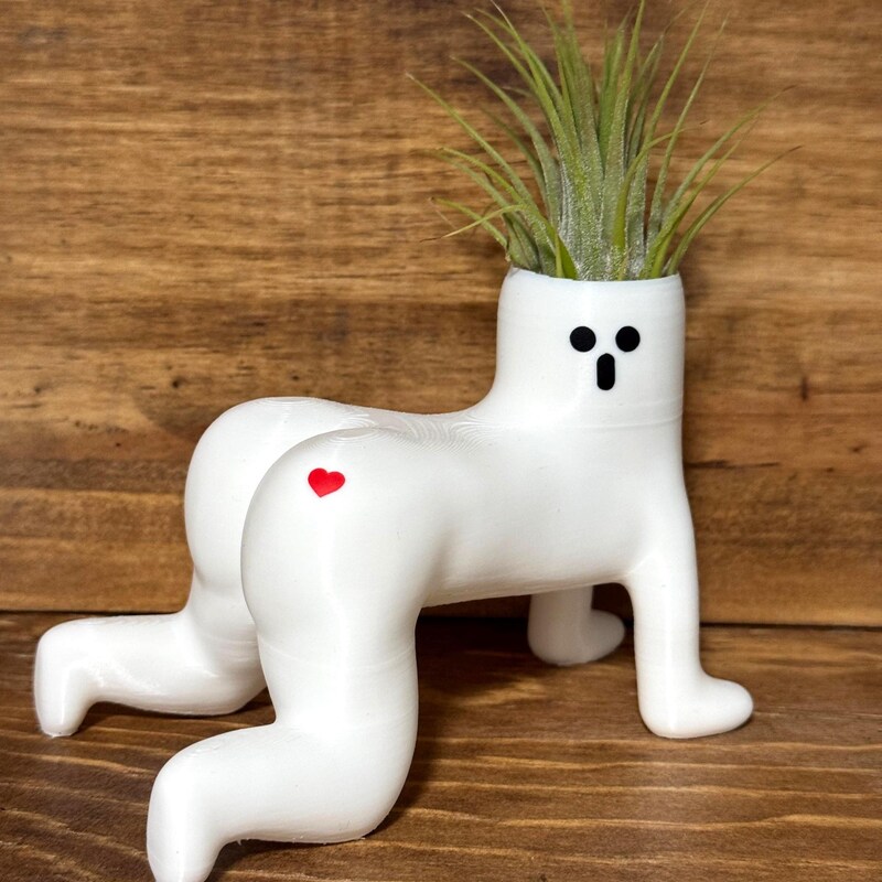 Funny Plant Pot - Etsy