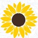 Sunflower Svg, Flower Clipart, Yellow, Svg Files Cricut, Summer Clipart ...