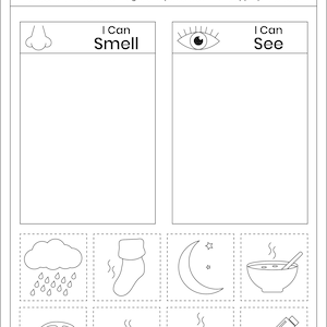 5 Senses Printable Worksheets. Distance Learning. - Etsy