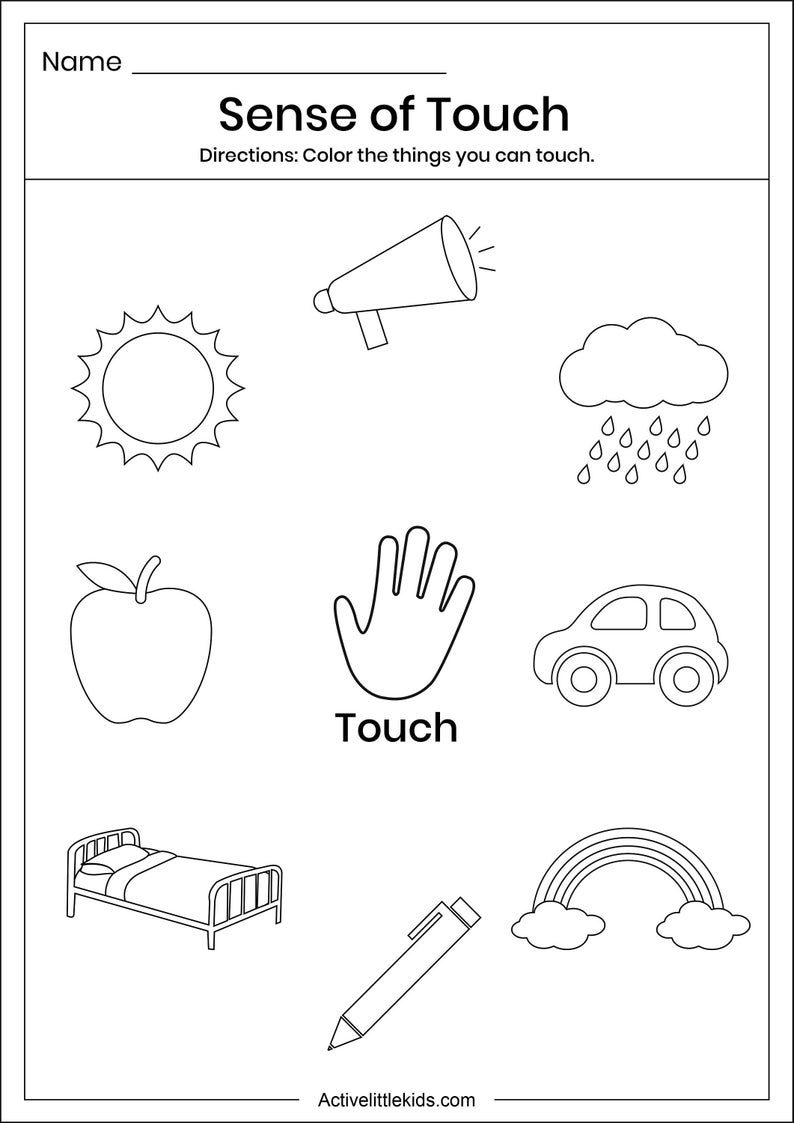 5 Senses Printable Worksheets. Distance Learning. - Etsy