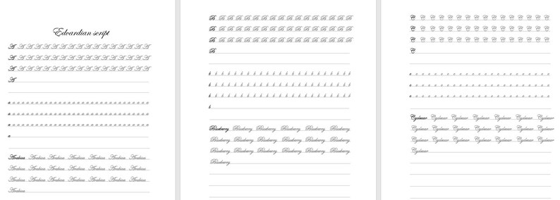 Basics of Calligraphy Practice Sheet - Edwardian Script Font - PDF ...