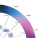 Bovis Scale - Chakra - Gland, Aura 's Purity - Percentage - Sacred Rays ...