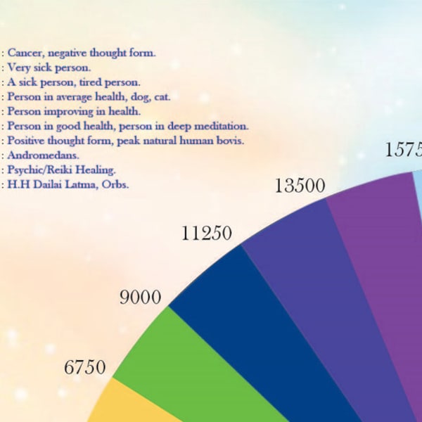 Bovis Biometer - Etsy UK
