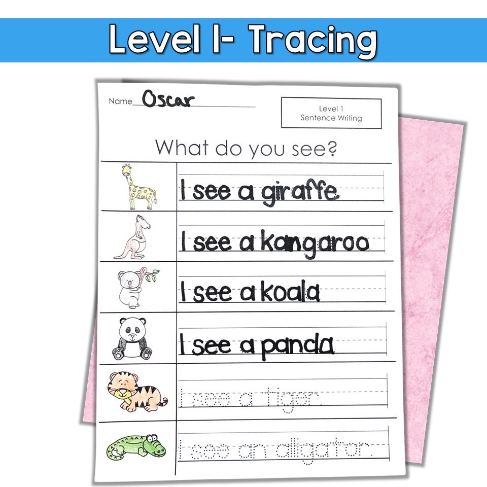 Writing Sentences - Special Education - Kindergarten - How to Write - Etsy