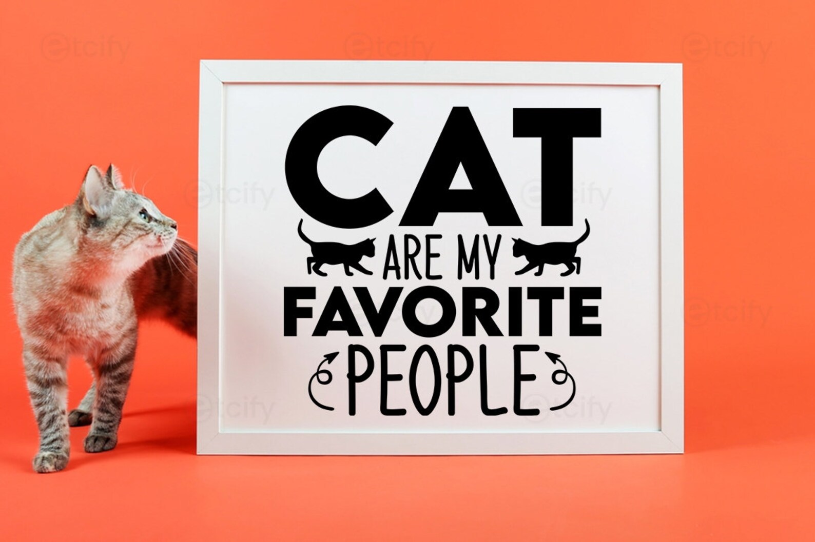 Cat Quotes Svg Bundle, Funny Cat Deign, Cat Svg, Mom Life Svg, Cat ...