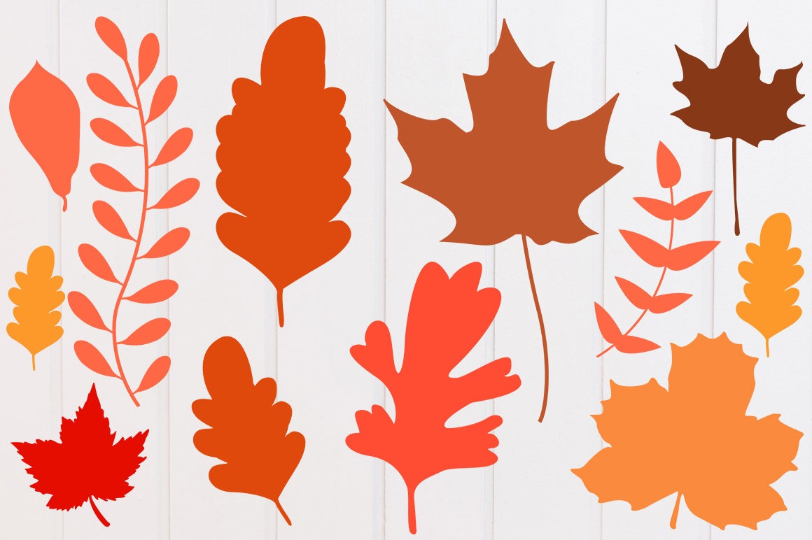 Fall Leaf Svg Bundle, Fall Png, Fall Leaves Svg, Fall Svg, Fall Leaf ...