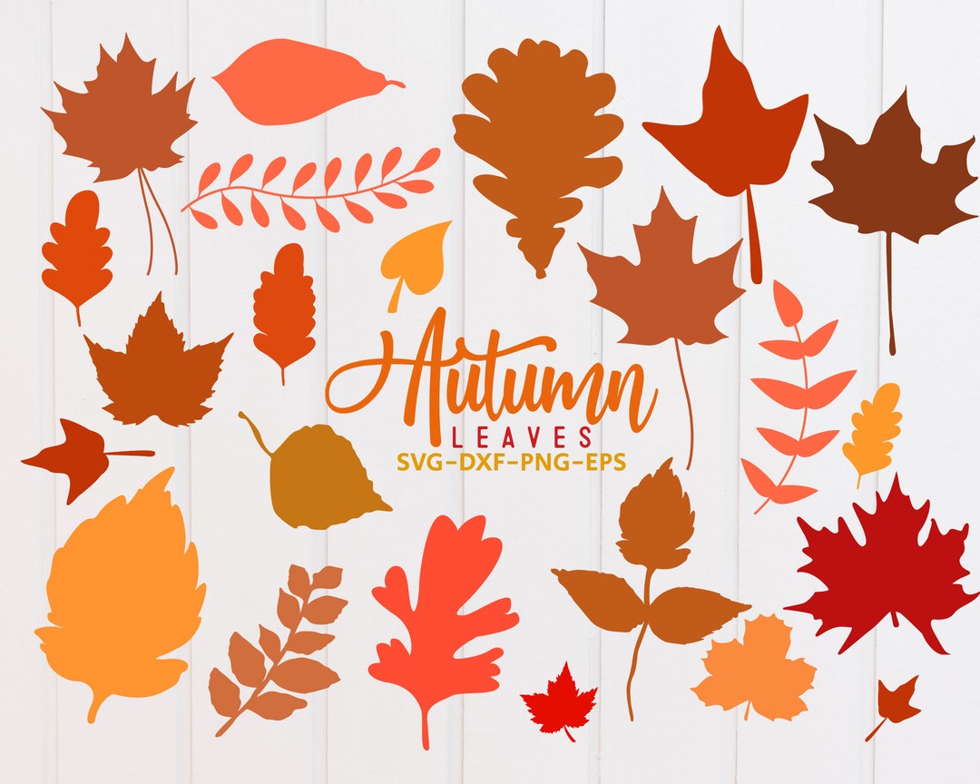 Fall Leaf Svg Bundle, Fall Png, Fall Leaves Svg, Fall Svg, Fall Leaf ...