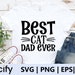 Cat Quotes Svg Bundle, Funny Cat Deign, Cat Svg, Mom Life Svg, Cat ...