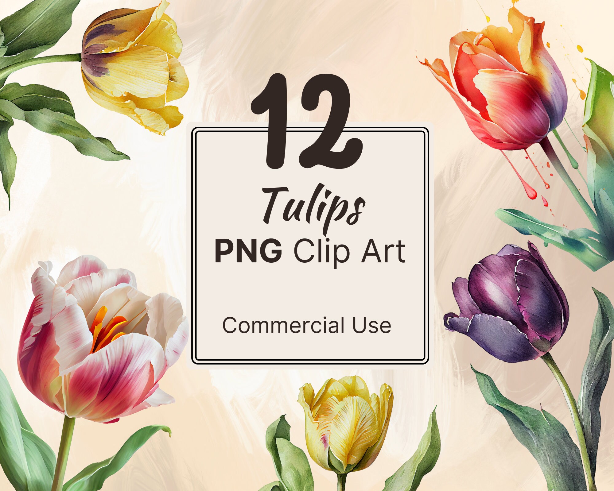 Watercolor Tulips Clipart Colorful Tulip Flowers Digital PNG - Etsy