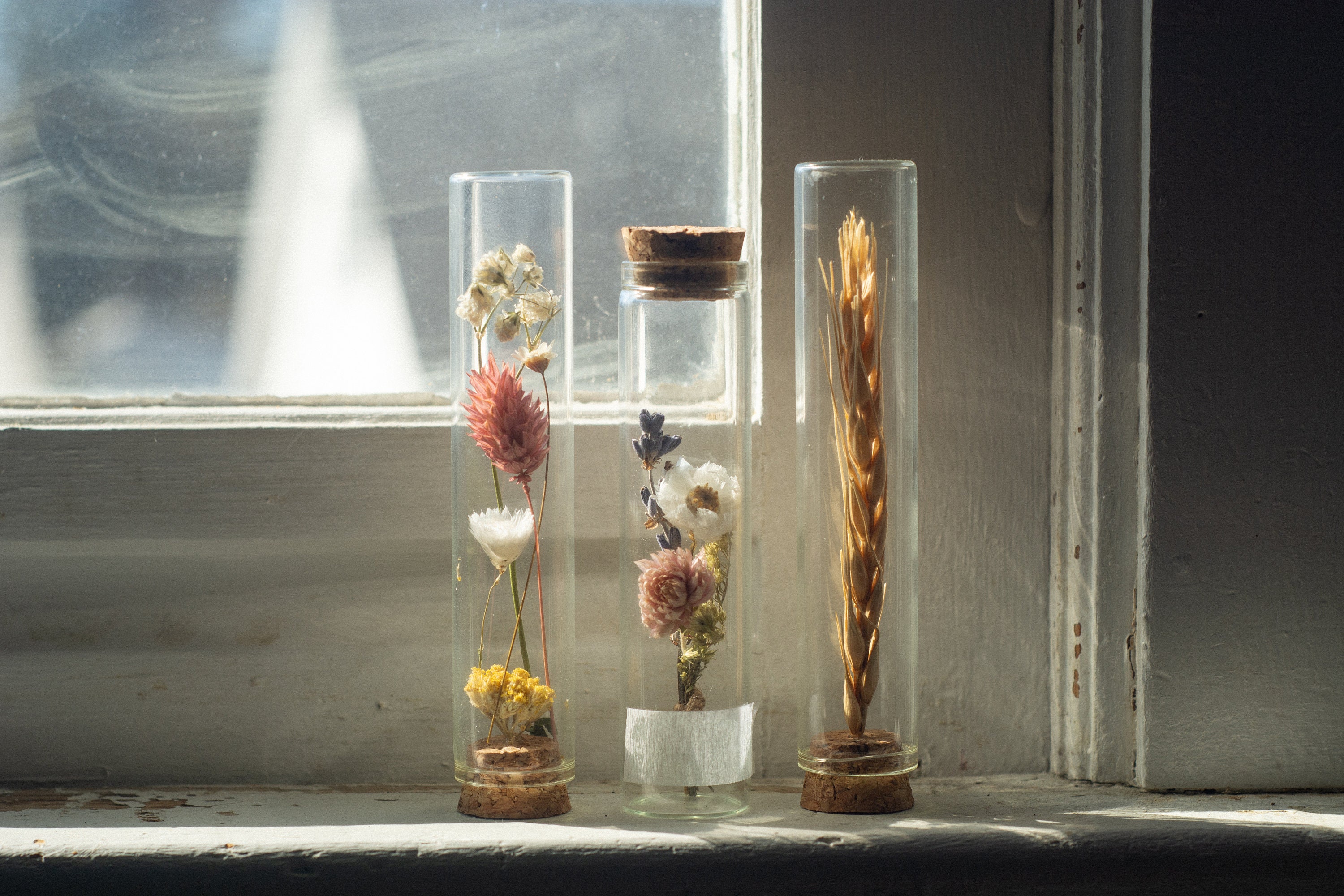Dried Flower Apothecary Jars | Botanical Glass Vials | Mini Herbarium ...