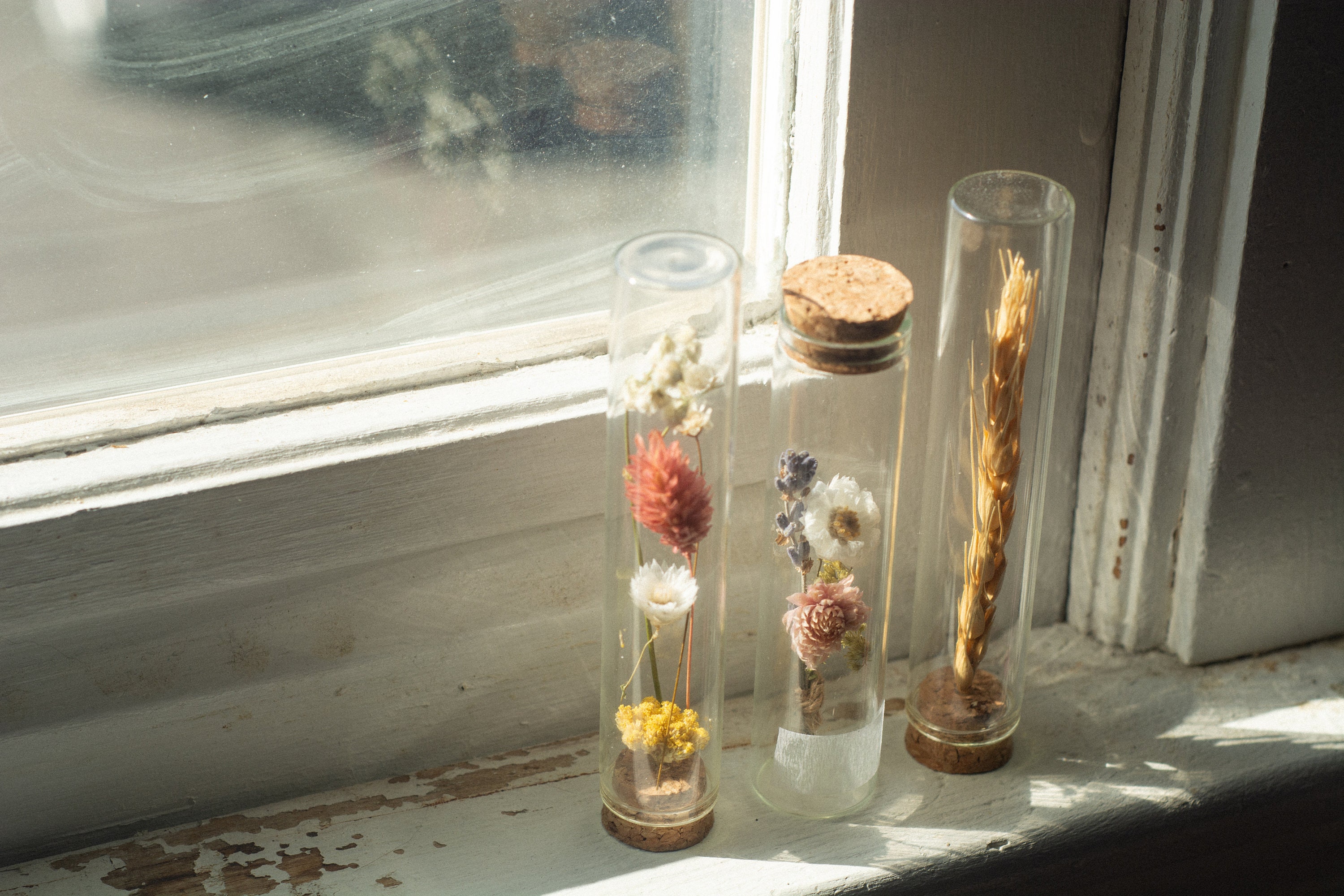 Dried Flower Apothecary Jars Botanical Glass Vials Mini Herbarium ...